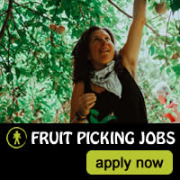 Backpacking New Zealand Travel Guide, Backpacker Hostels, Jobs, Tours ...