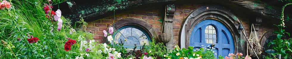 The 5 Best Hamilton & Waikato Backpackers & Hostels