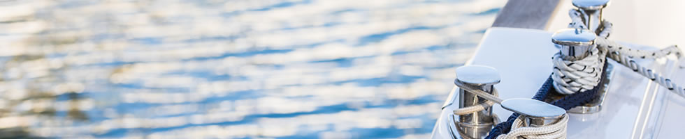 The 1 Best Hamilton Backpackers & Hostels