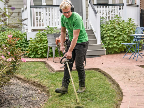 Hostel Gardening Maintenance | New Zealand Job Vacancies